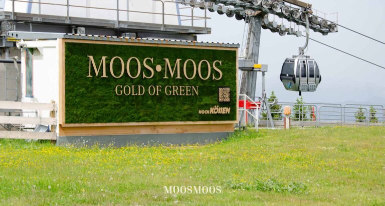Greenovation einzigartige Fassadenbegrünung mit 100% Moos